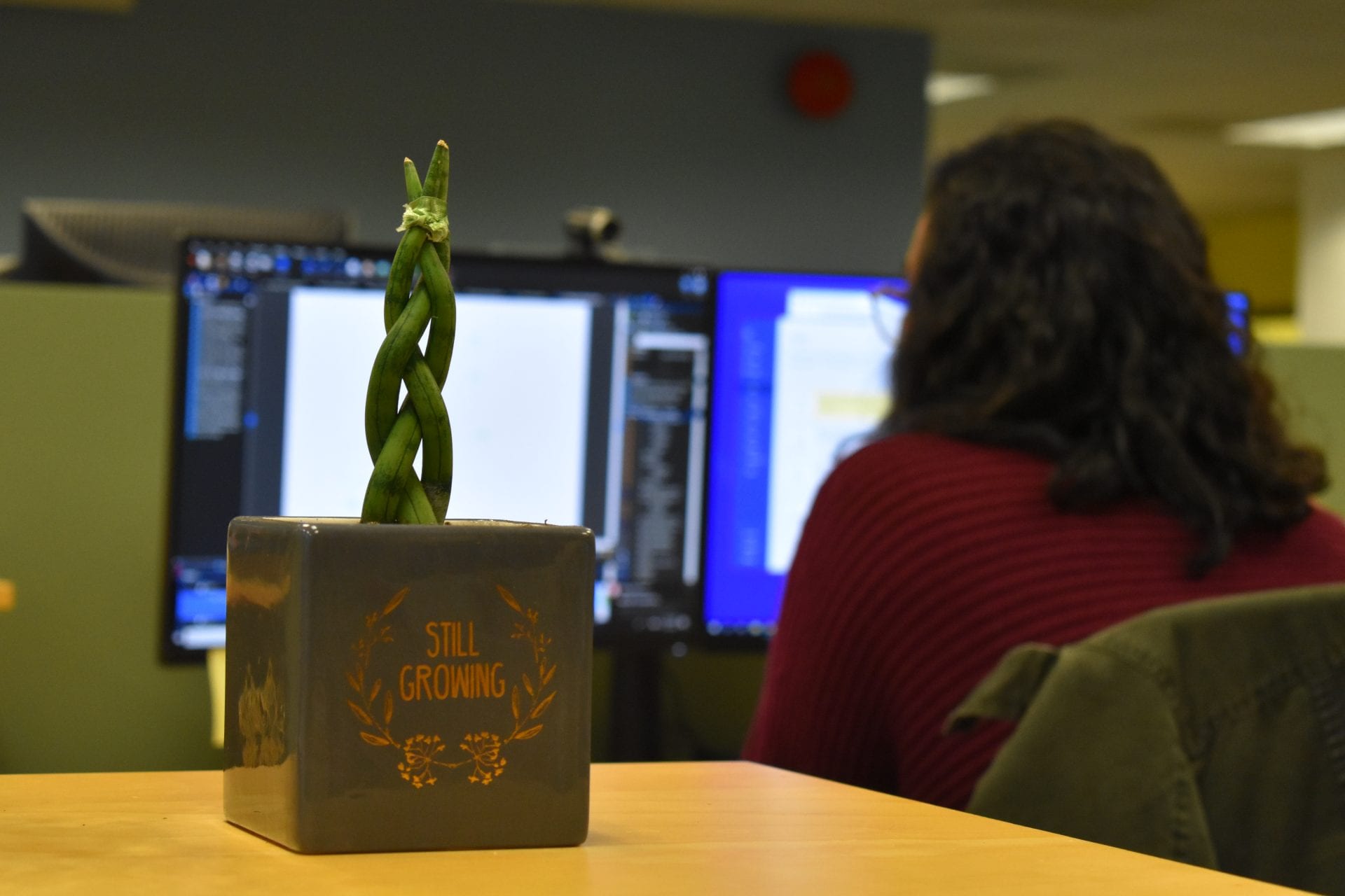 Consultants in Conference Rooms Getting Coffee: An Interview with Jamie ...